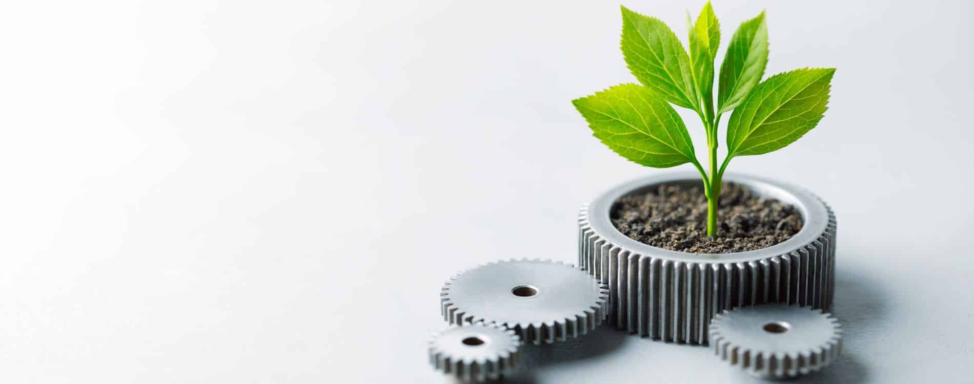 Driving Sustainability: Climate-Smart Facilities & Supply Chain | MEMS